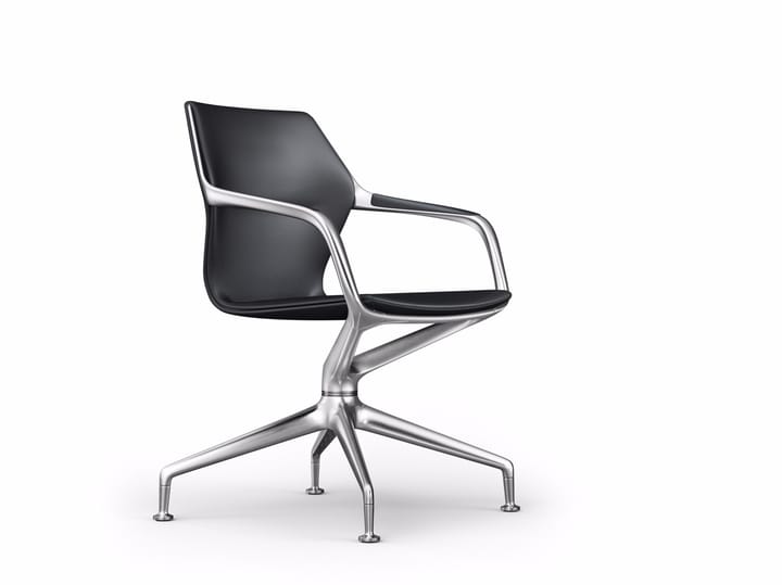 Ray: strength within movement