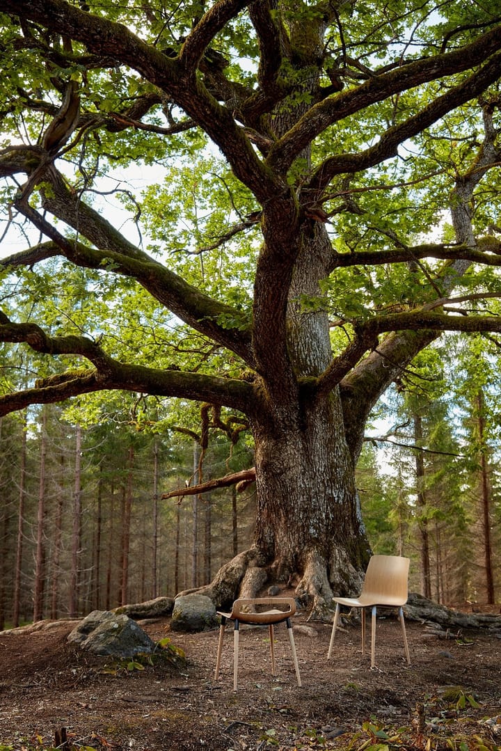 Pi Collection: simplicity is complexity resolved