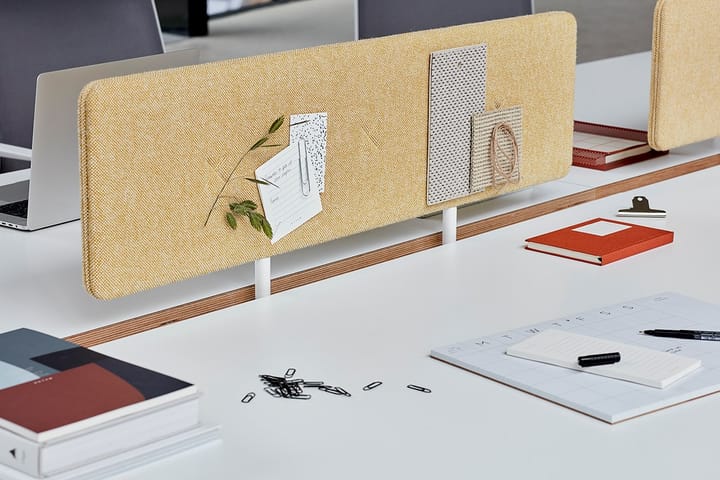 Senator Launches Pailo for Formal and Informal Working Spaces