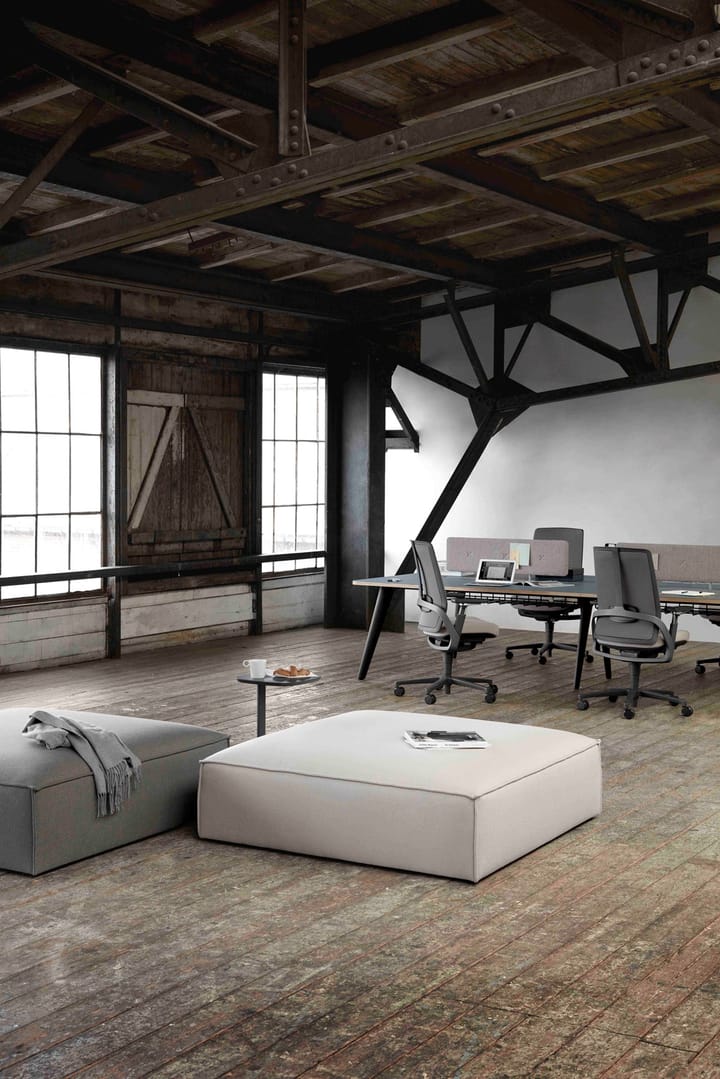 Senator Launches Pailo for Formal and Informal Working Spaces