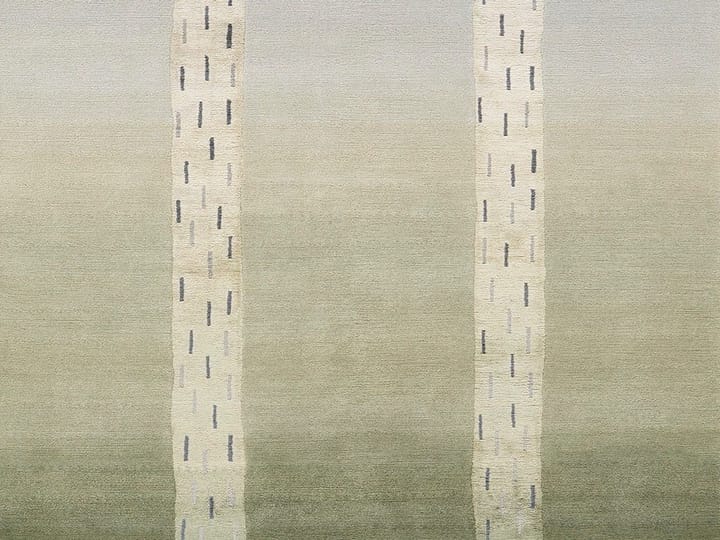 Deirdre Dyson: a Focus on Colour and the Transitions in Between