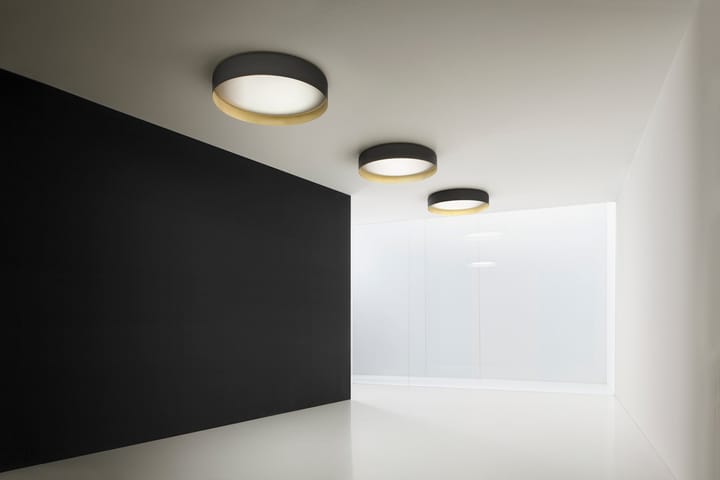 Circles of Light: Panzeri's New Light Collection