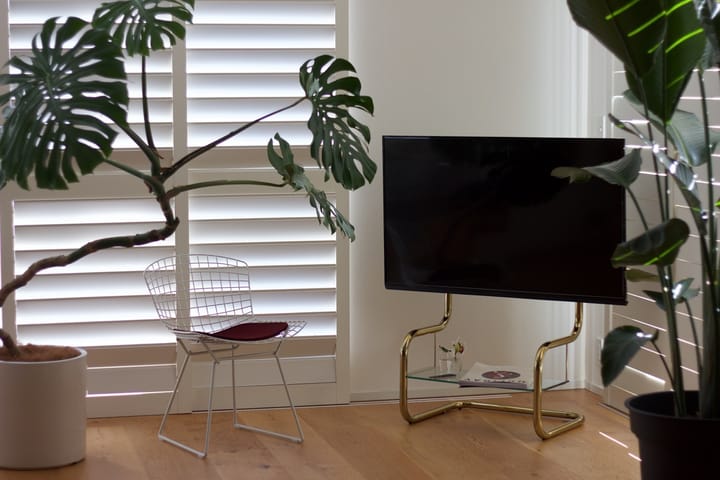 Zeitgeist Captures the Spirit of the Modern Era