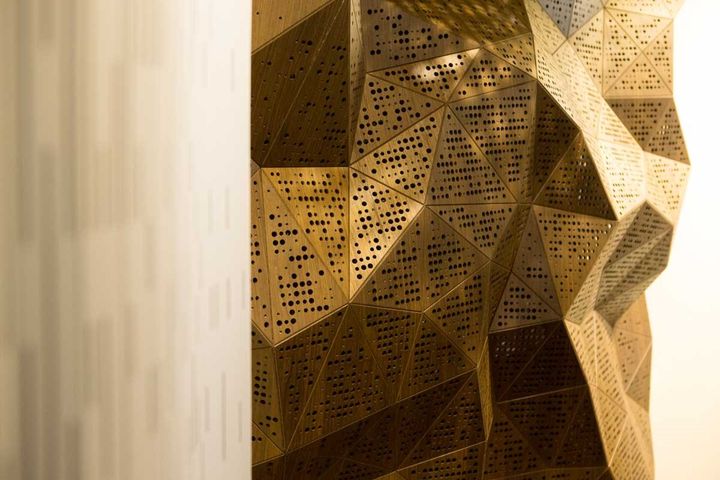 Wood-Skin Goes Acoustic