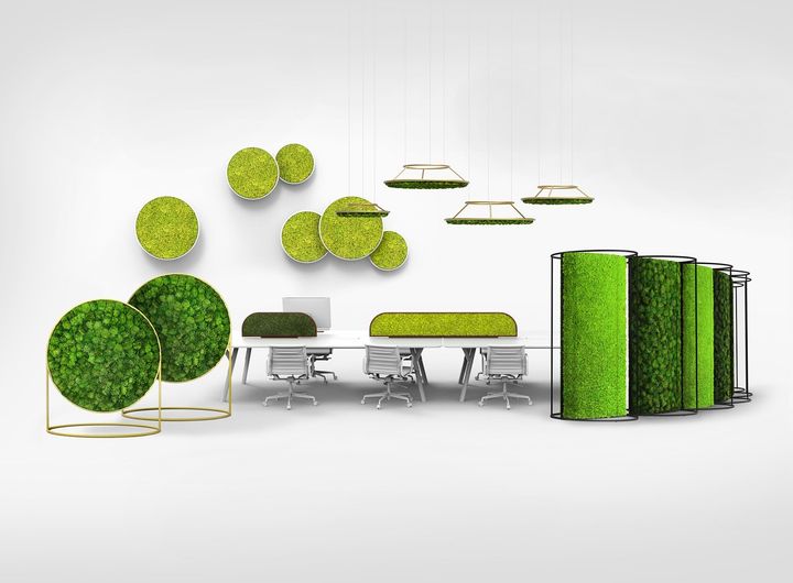 Greenmood: When Nature Invades Interior Spaces