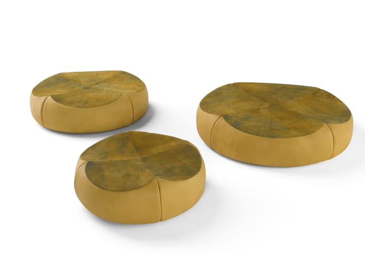 Panis. Colors, Shapes, Smells, Flavors