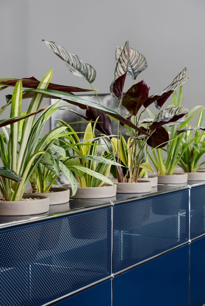 Metal Grid + Plants’ Organic Forms