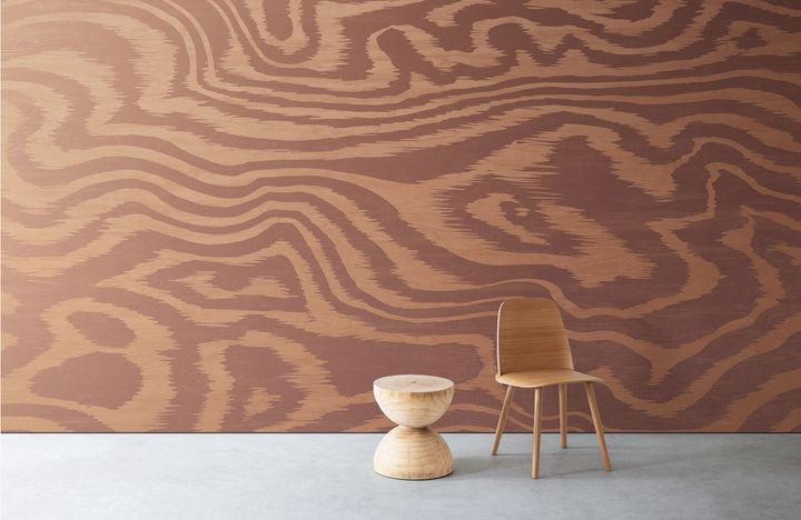 Calico Wallpaper Meets Fashion