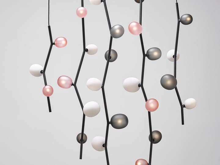 IVY Collection: A Urban Jungle