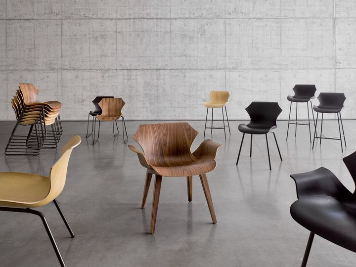Petal: the wooden chair by BassamFellows