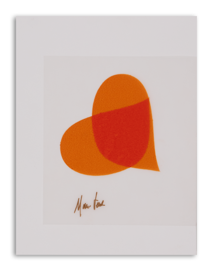 The Agape bathroom turns 50: the exhibition runs until March 2024