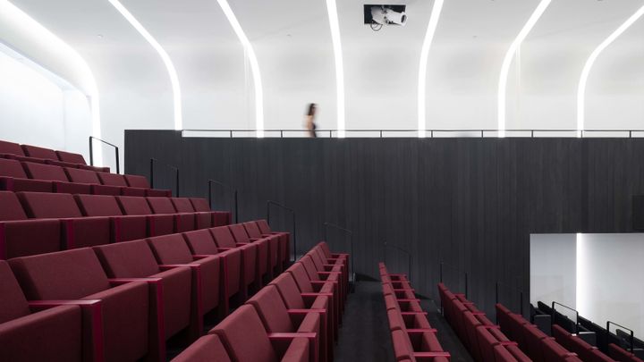 LAMM's C100 Seating for the New Auditorium of the Brooklyn Children's ...