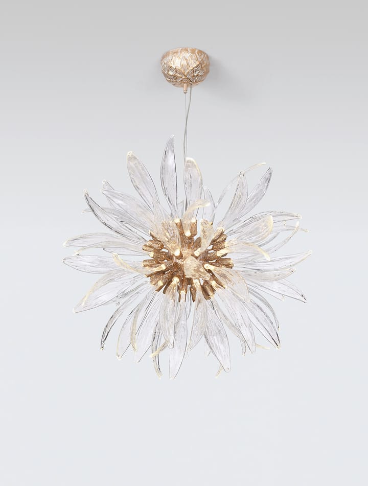 Serip launches three new collections: Origem, Dandelion, and Voa Rebirth