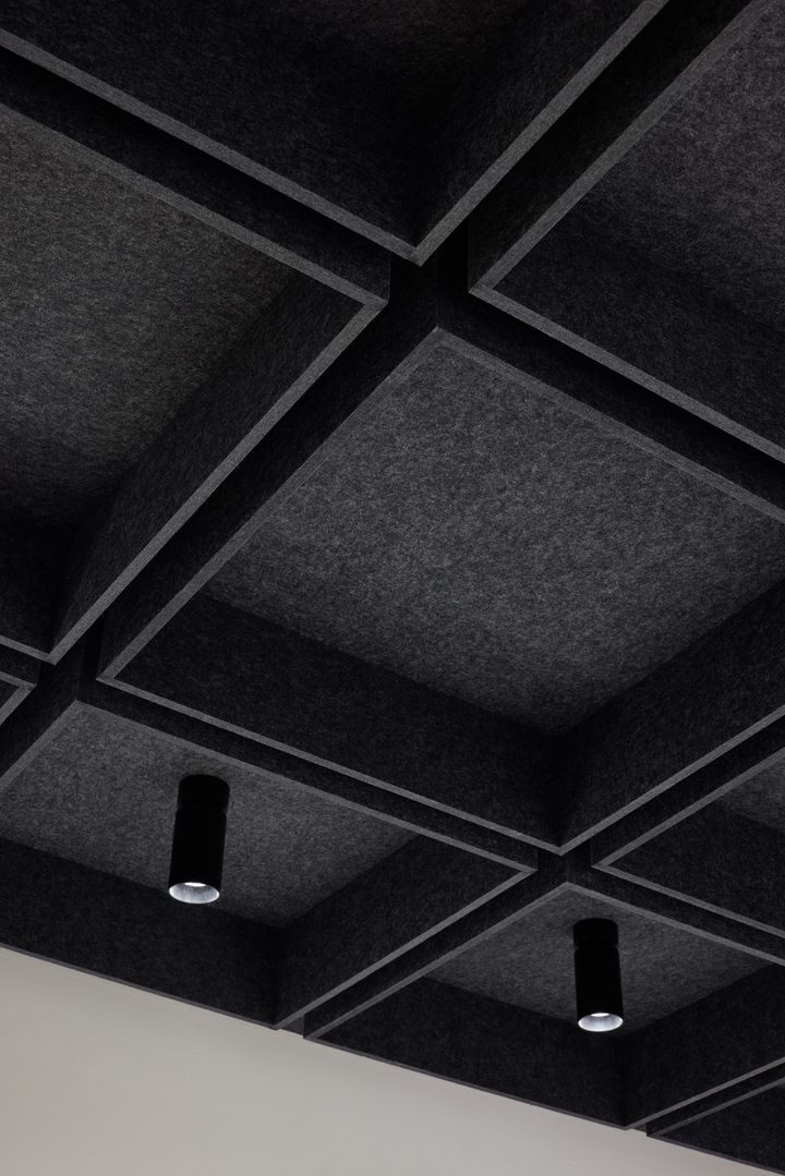 ECOcero's eco-conscious office: a fusion of acoustics, sustainability ...