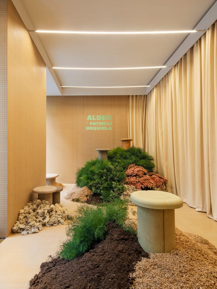 Mater's Biodegradable Furniture by Patricia Urquiola: A Sustainable ...