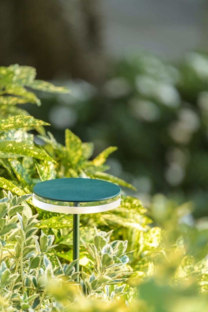 Platek outdoor lighting systems in the new Green Forest shade