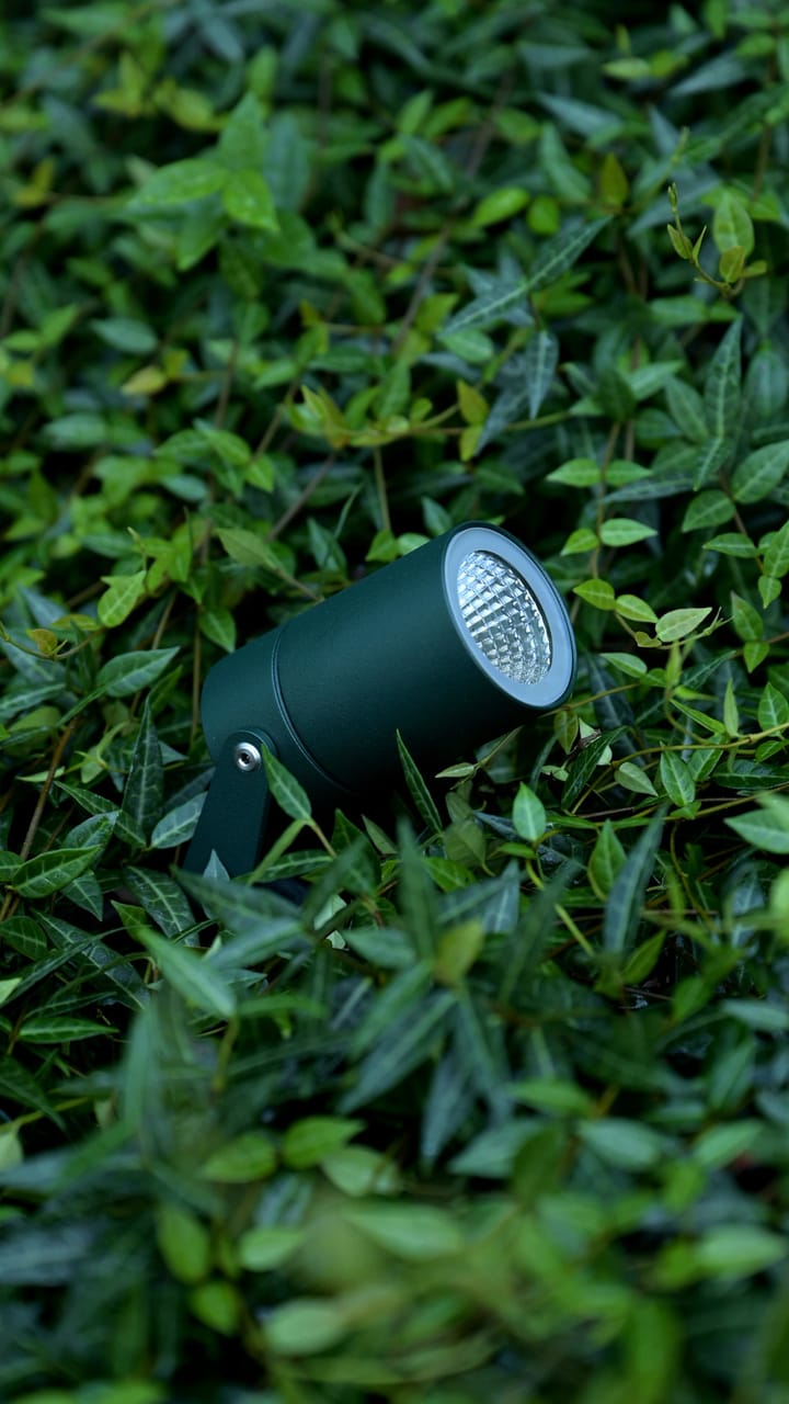 Platek outdoor lighting systems in the new Green Forest shade
