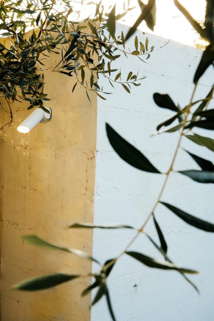 The super compact Flos adjustable outdoor spotlight designed by Van Duysen