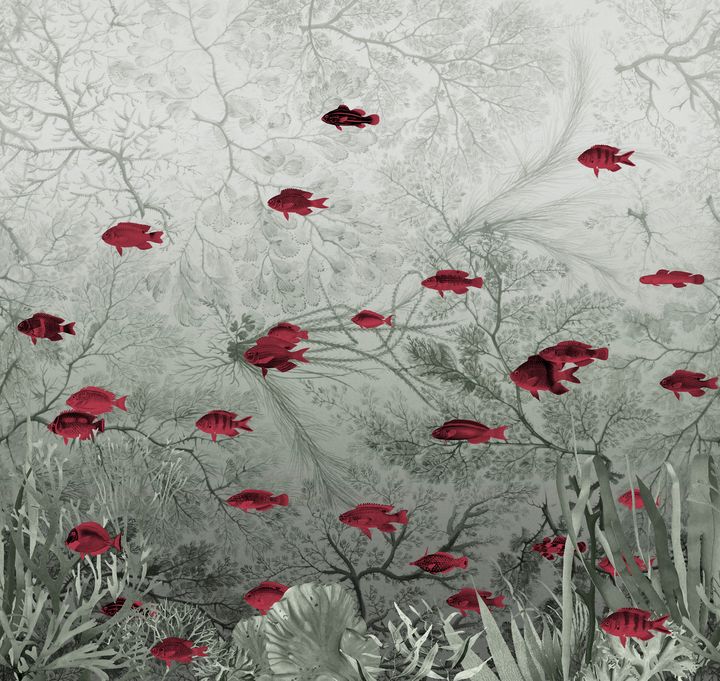 Devon&Devon wallpapers with decorative motifs