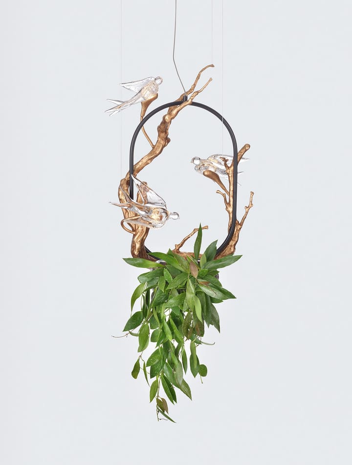 Serip launches three new collections: Origem, Dandelion, and Voa Rebirth