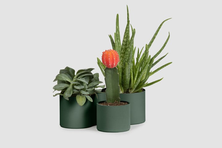 Neue Designprodukte und Accessoires aus der nachhaltigen bFRIENDS ...