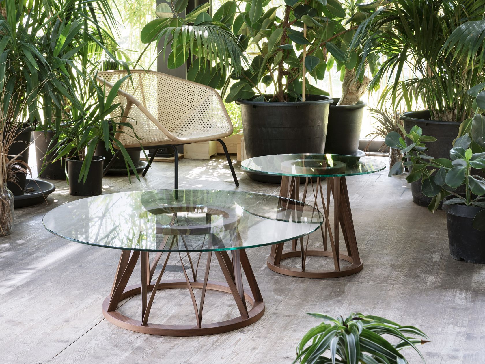 ACCO Low wood and glass coffee table By Miniforms | design Florian Schmid