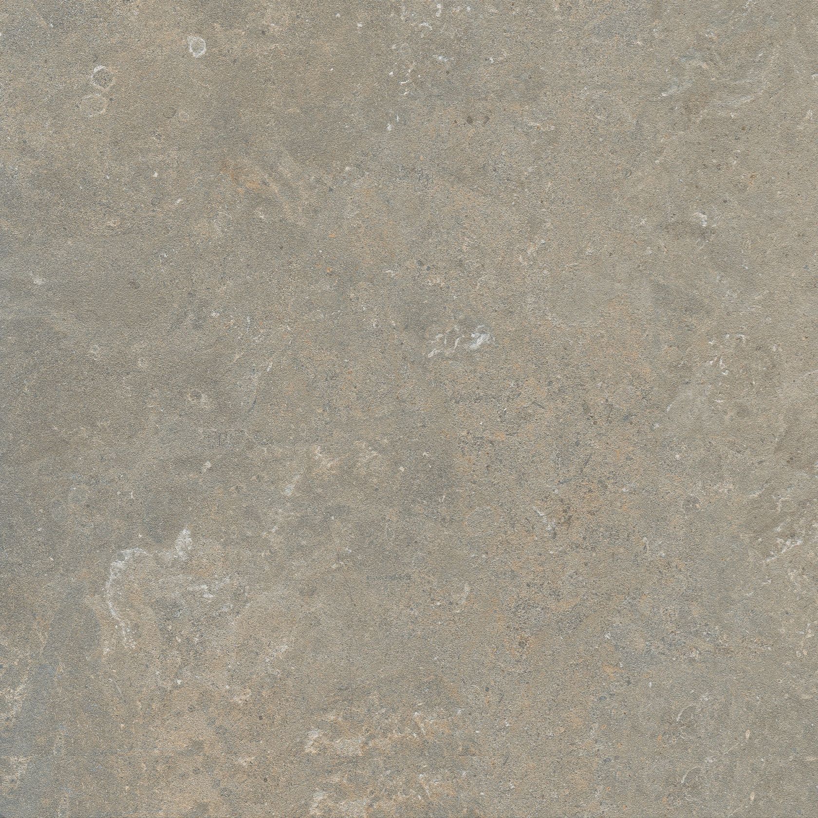 ARKISTYLE FOSSIL flooring By Marca Corona