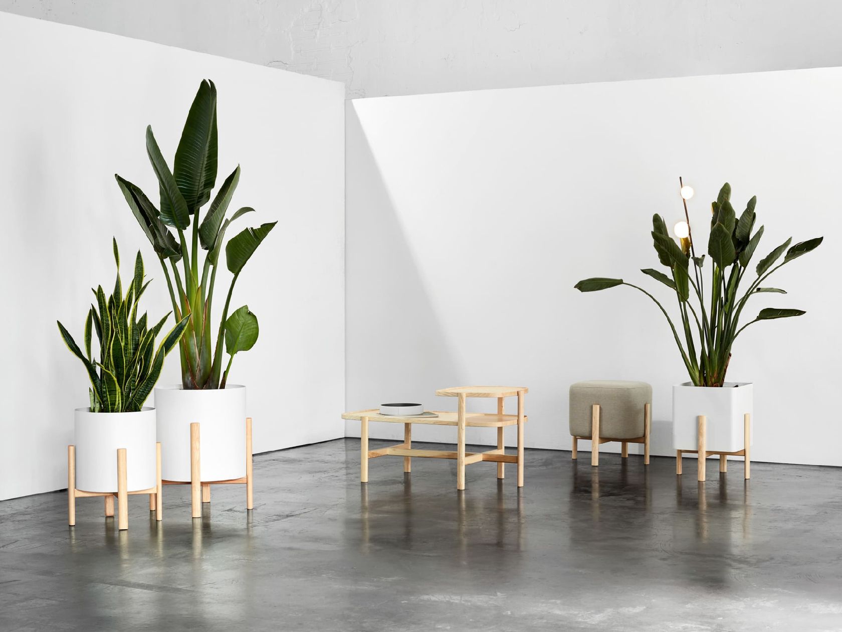 ASHI | Round plant pot By Hobby Flower