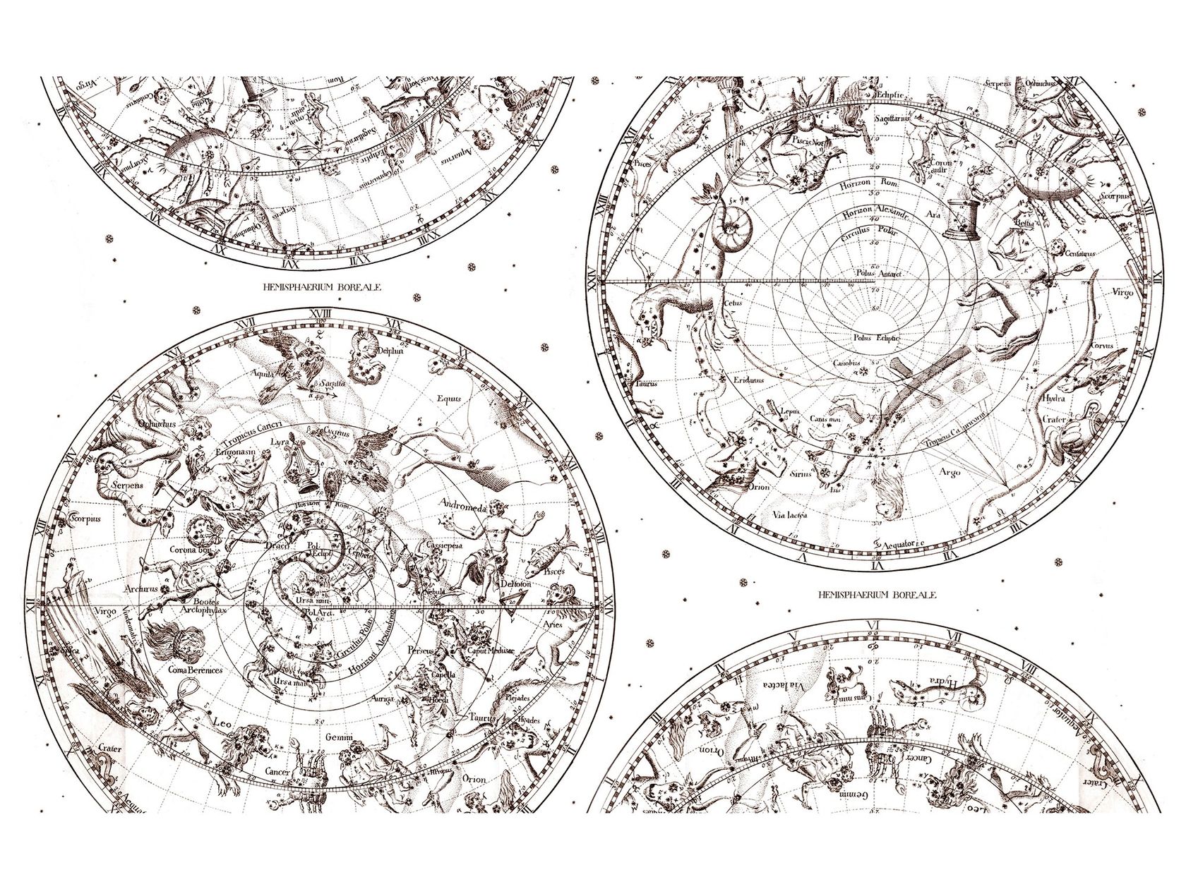 ASTRAL MAP wallpaper By PaperMint