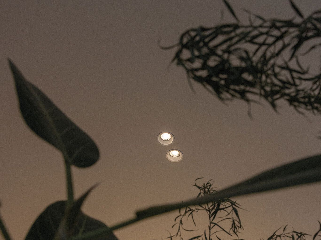 AXOLIGHT: Design lighting | Archiproducts