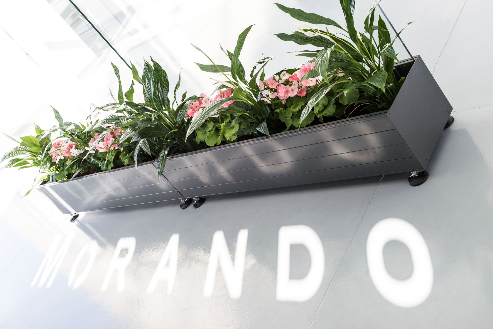 BELLAVISTA FLOWER | Garden partition By GM MORANDO