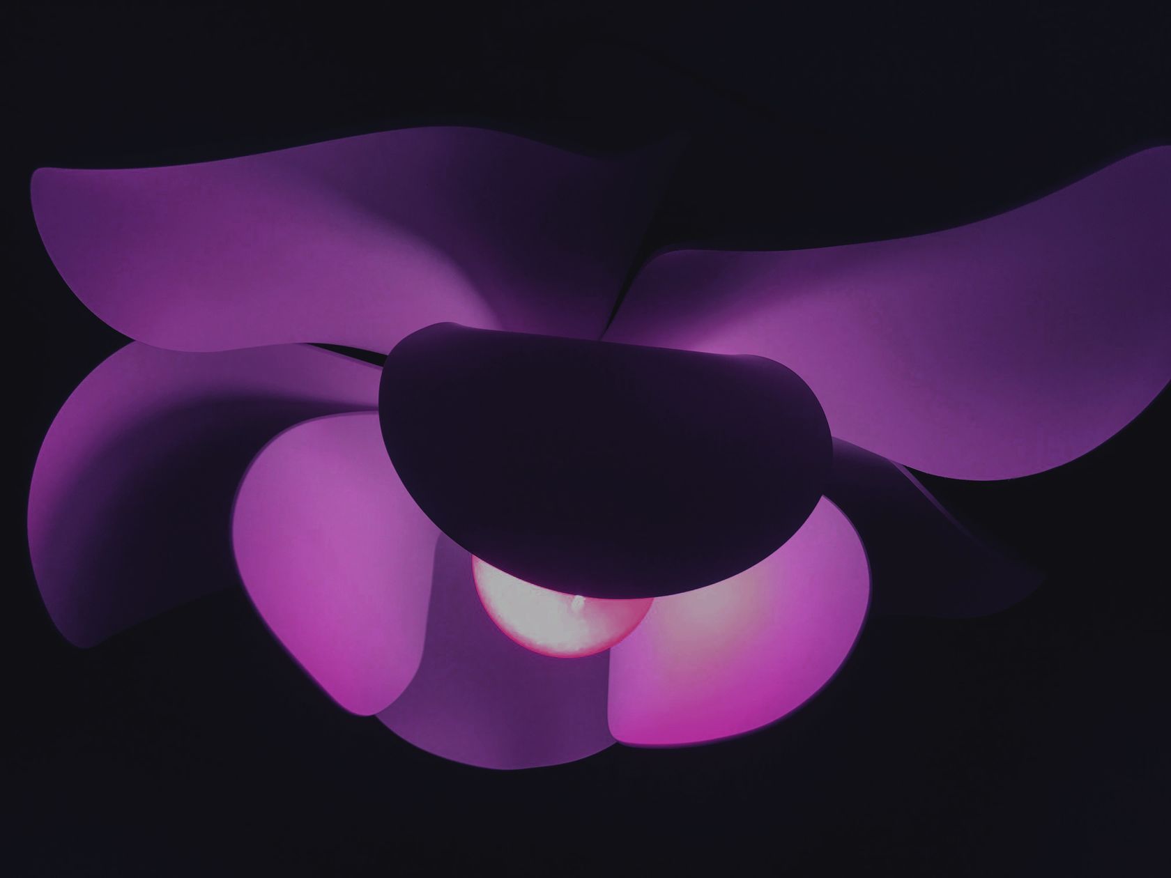 BLOOM | Pendant lamp Bloom Collection By Bloomboom design François ...