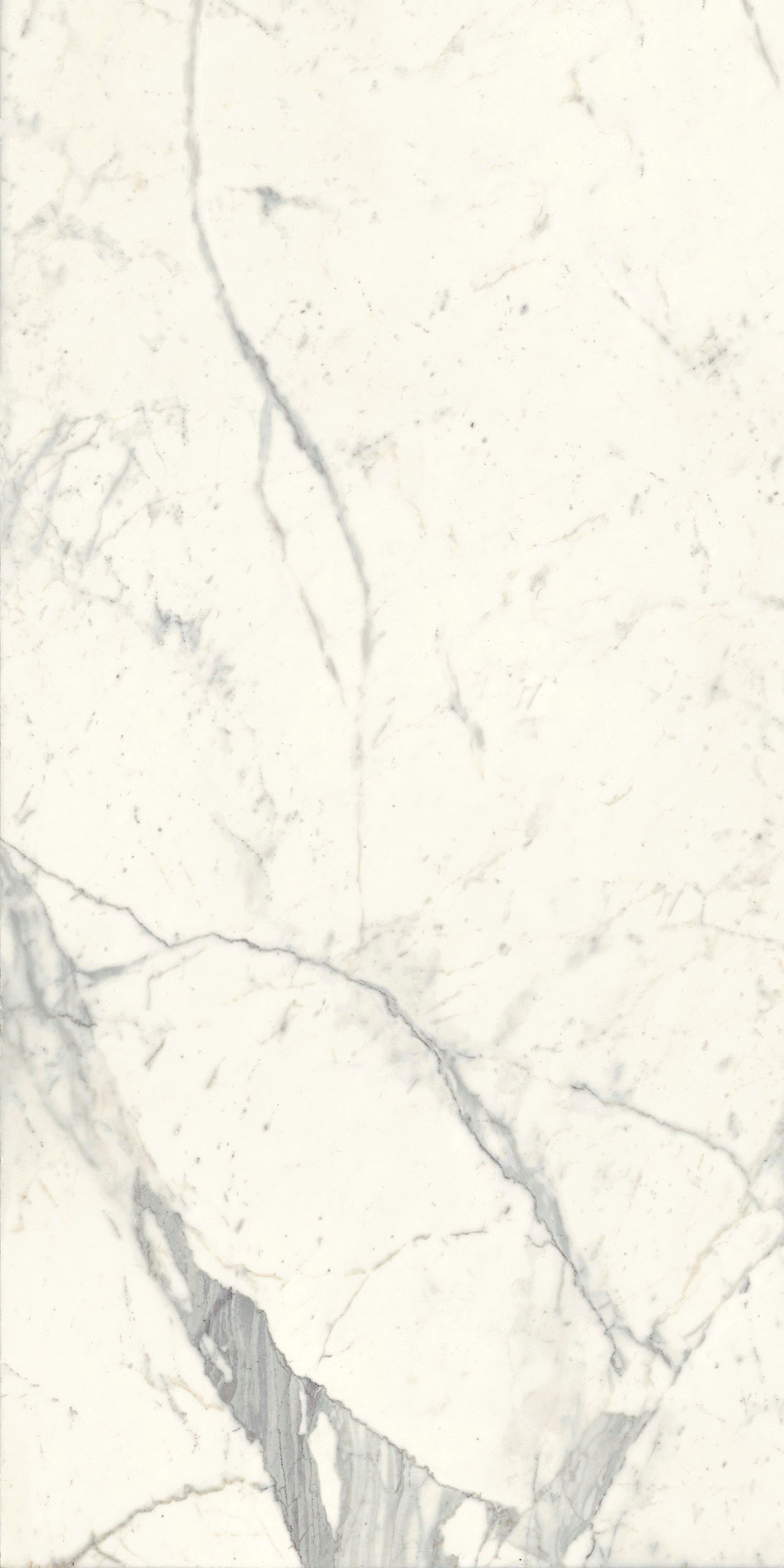 CALACATTA STATUARIO ACTIVE 地板 By FMG