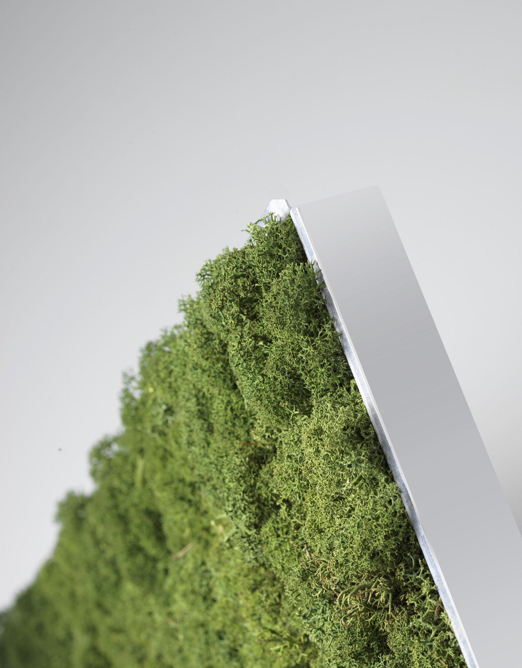 CEILING Acoustic Moss ceiling panels By Nordgröna