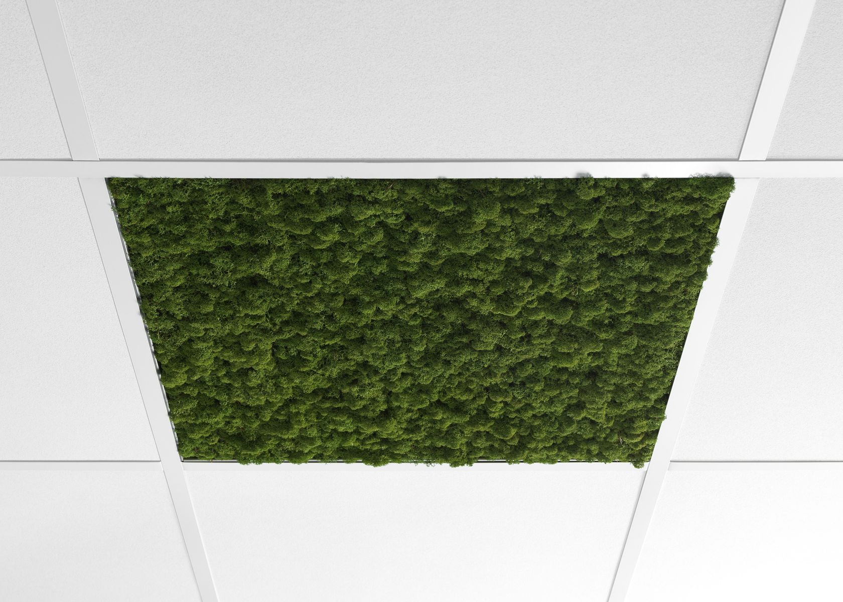 CEILING Acoustic Moss ceiling panels By Nordgröna