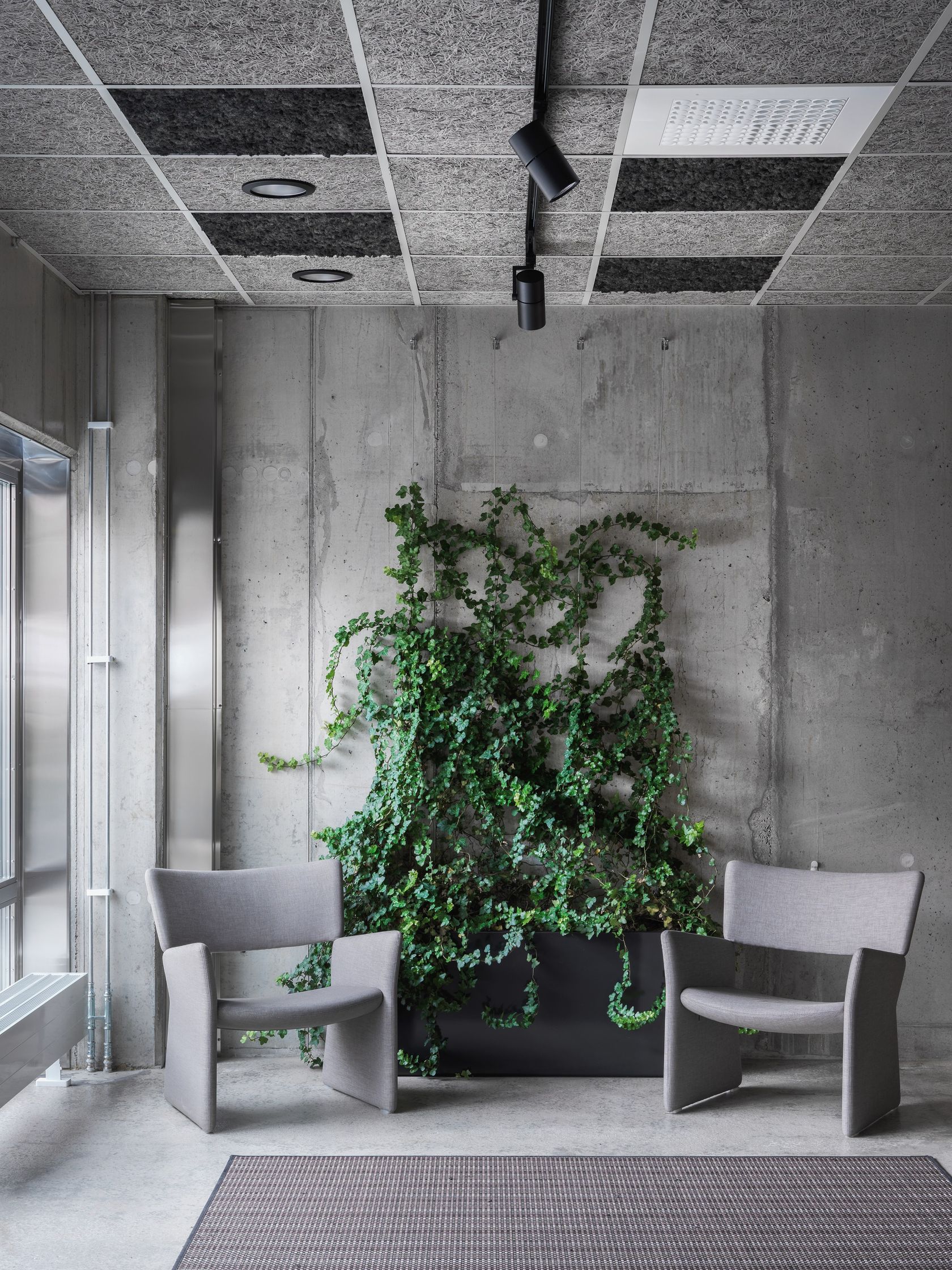 CEILING Acoustic Moss ceiling panels By Nordgröna