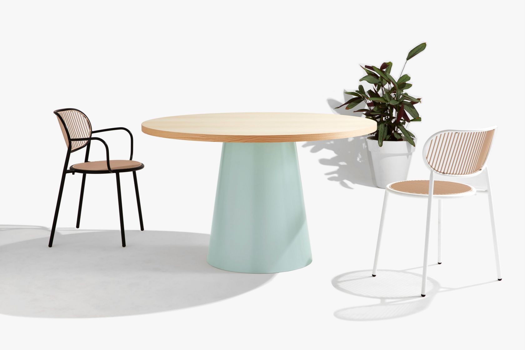 DIAL | Table Dial Collection By DesignByThem