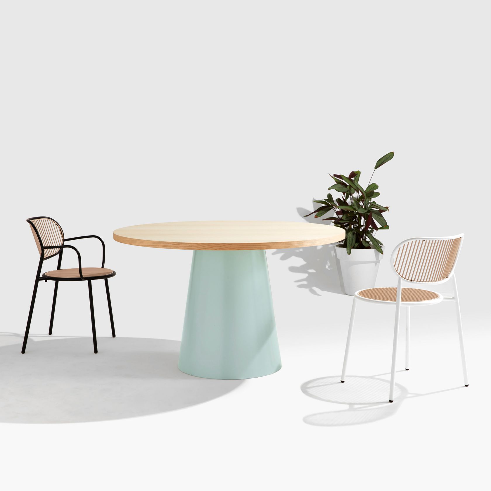 DIAL | Table Dial Collection By DesignByThem