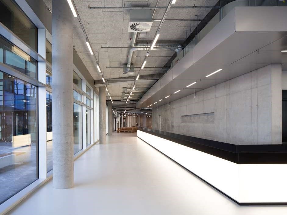 Antibacterial linoleum continuous flooring GERFLOR-DLW LINOLEUM By gerflor