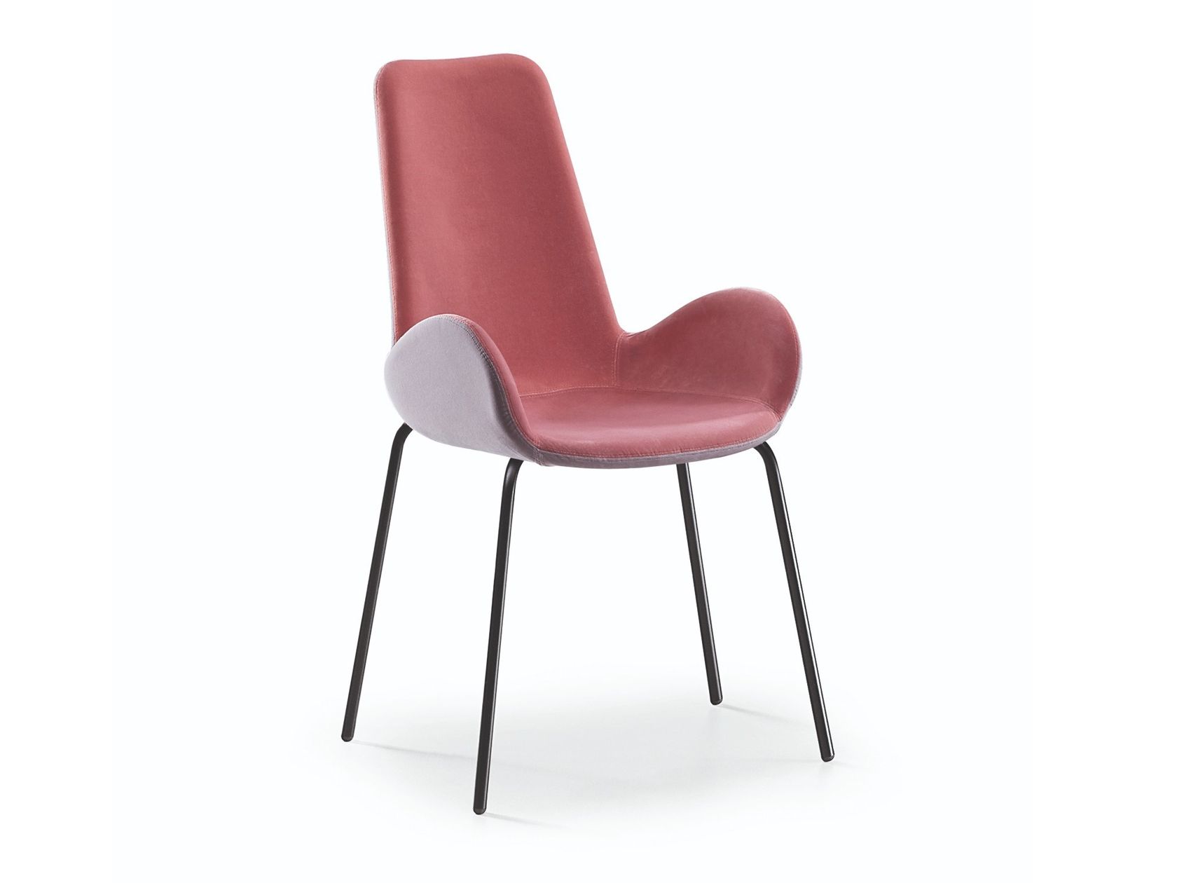 DALIA PA X Chair By Midj