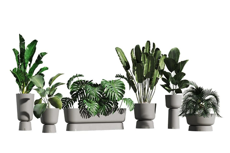 EDEN E Garden vase By Myface