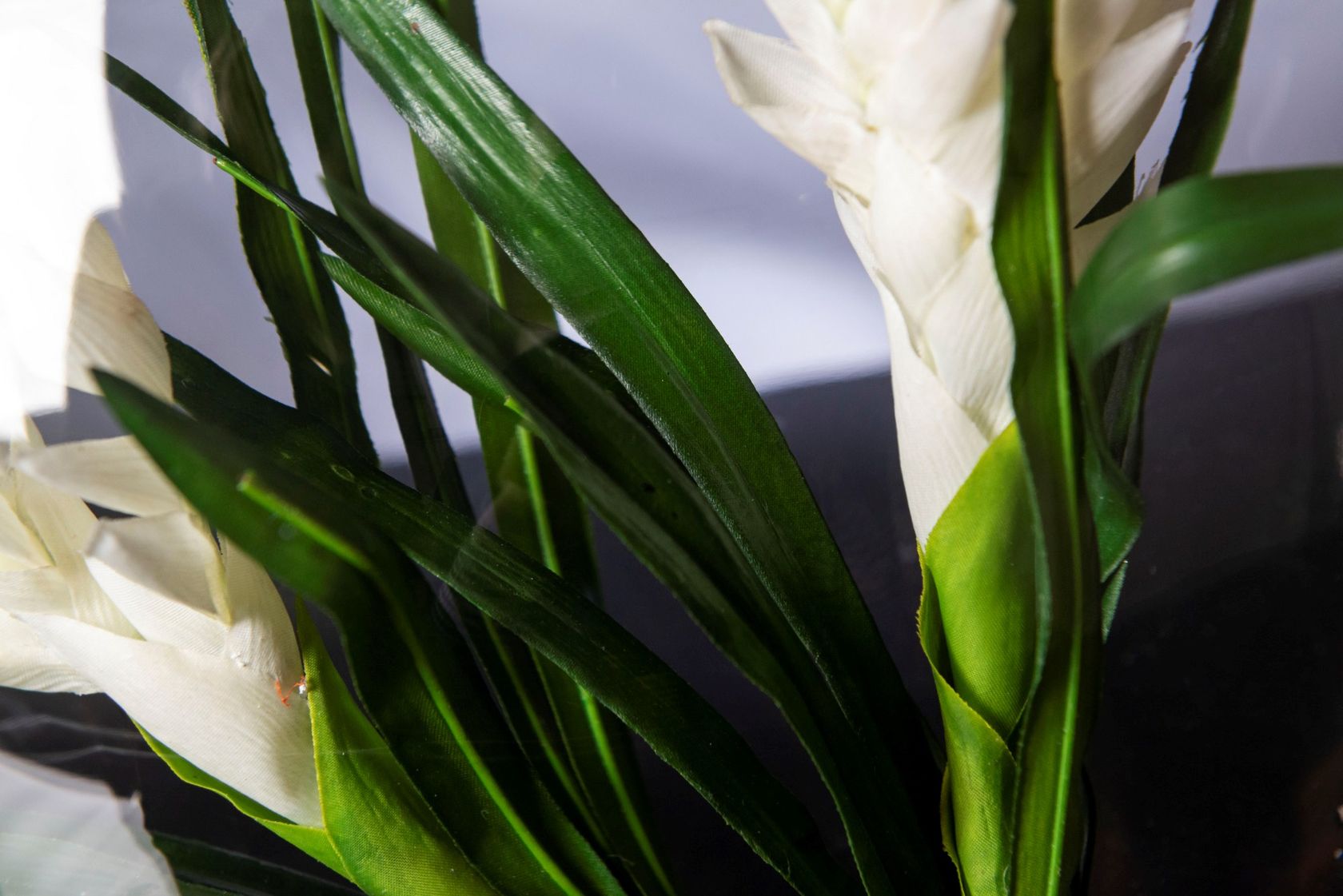 Florero / Planta artificiais ETERNITY OVAL Coleção Eternity By VGnewtrend