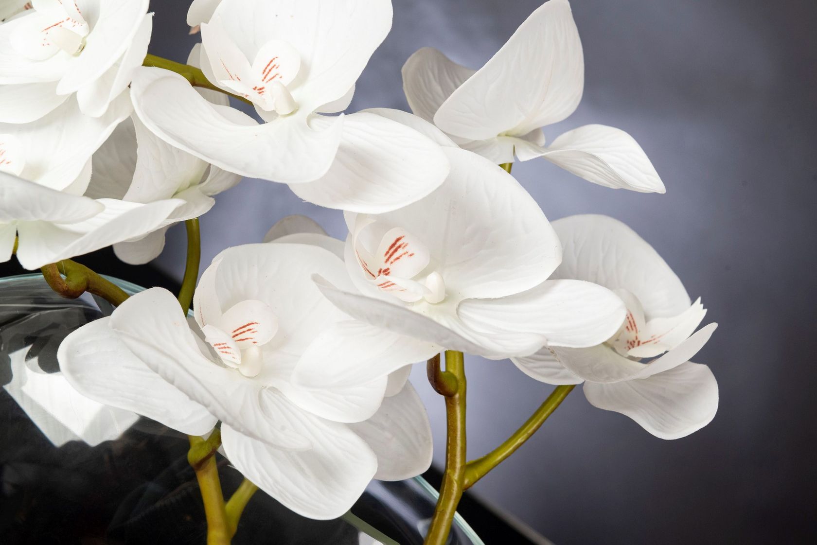 Florero / Planta artificiale ETERNITY OVAL Colección Eternity By VGnewtrend