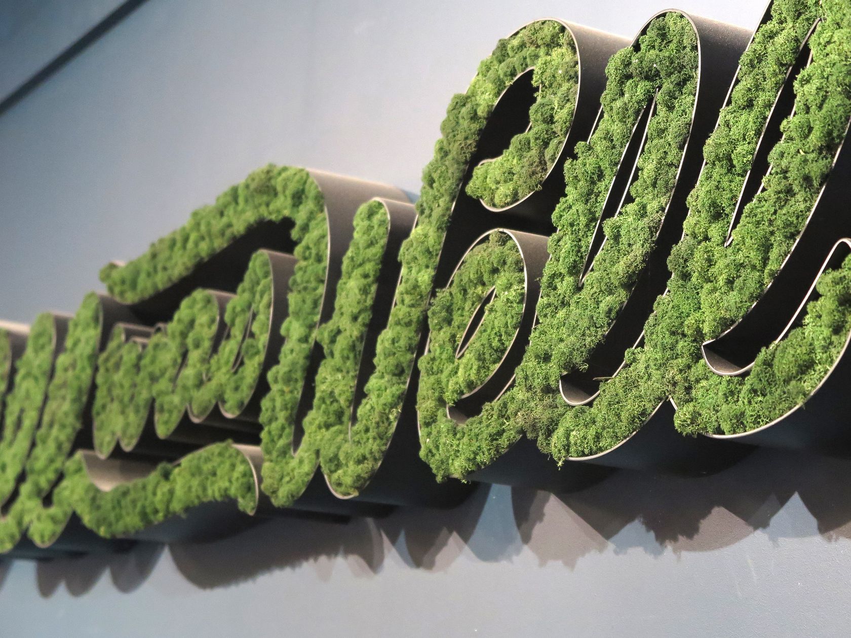 Moss wall EVERGREEN PREMIUM INDIVIDUALLY SHAPED By Freund GmbH