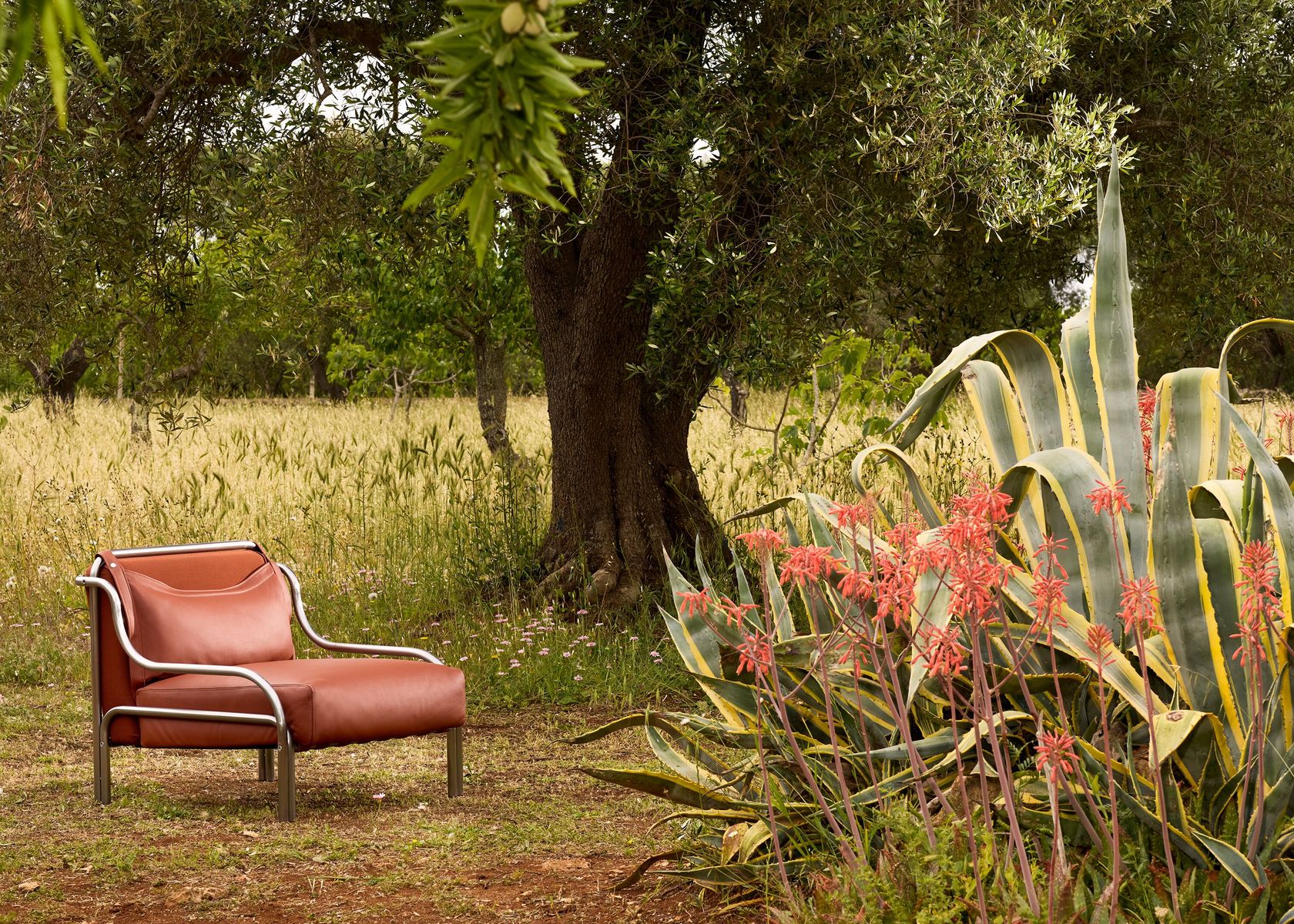 STRINGA 1963 Sillón By Exteta