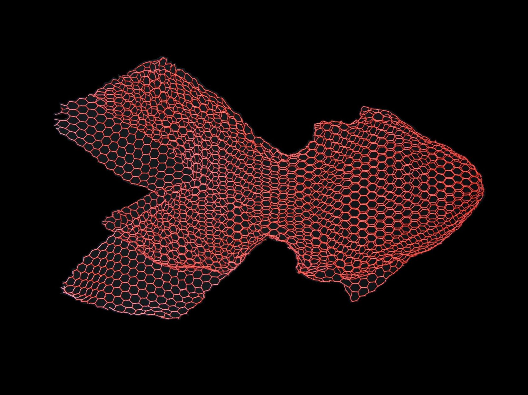 FISH Wire mesh hanging decoration By Magis | design Benedetta Mori Ubaldini