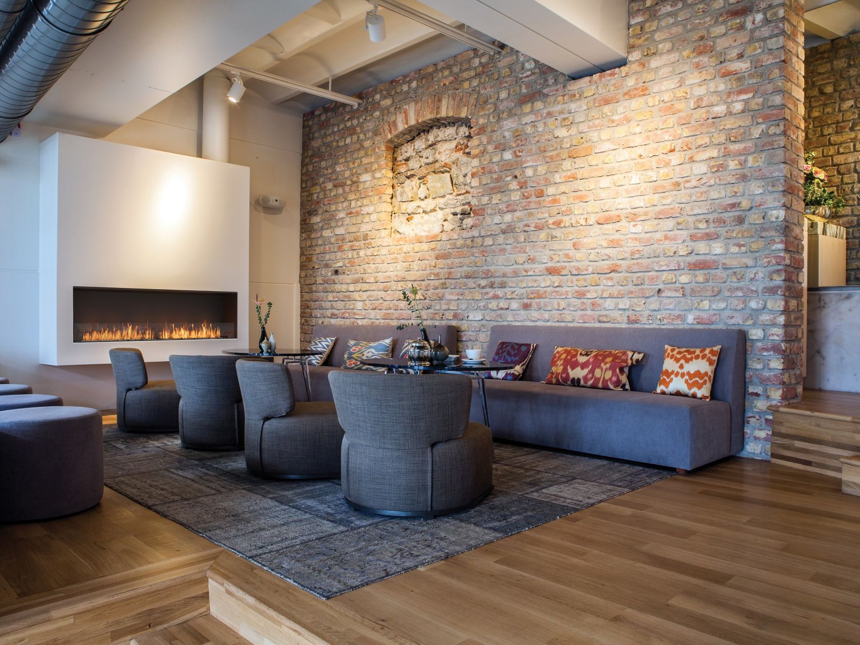 FLEX 50SS Fireplace insert By EcoSmart Fire