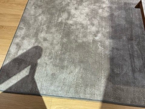 FLEXFORM - PREMIUM COLLECTION IVORY Rug By In Stock