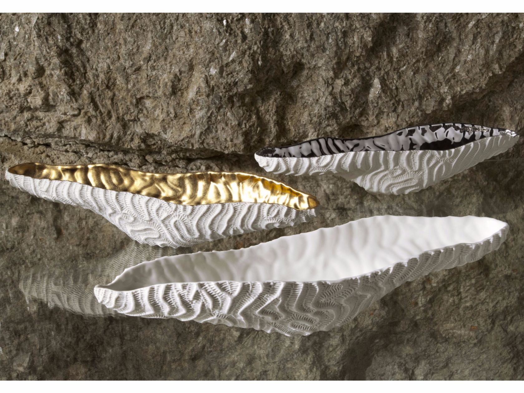 Porcelain centerpiece FOSSILIA SHELL Fossilia Collection By Fos ...