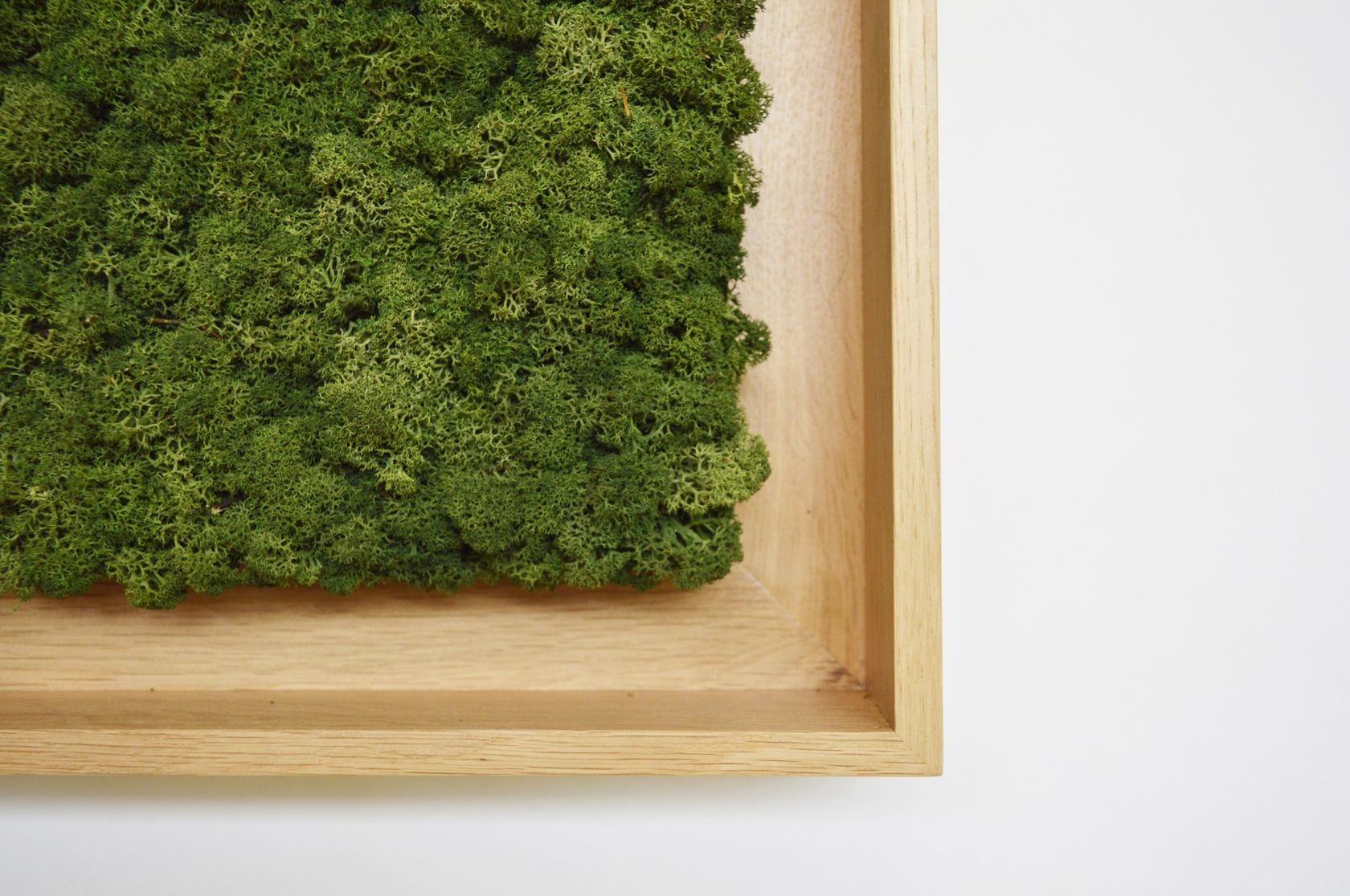 FRAMED LANDSCAPE Panel acústico de pared de musgo By GREENMOOD | design ...